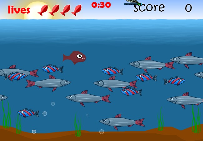 clown fish softwares - Free download - FreeWares