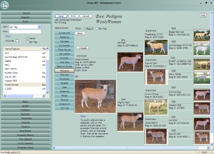 Sheep Manager 007 Business Applications - Free Software Download ...